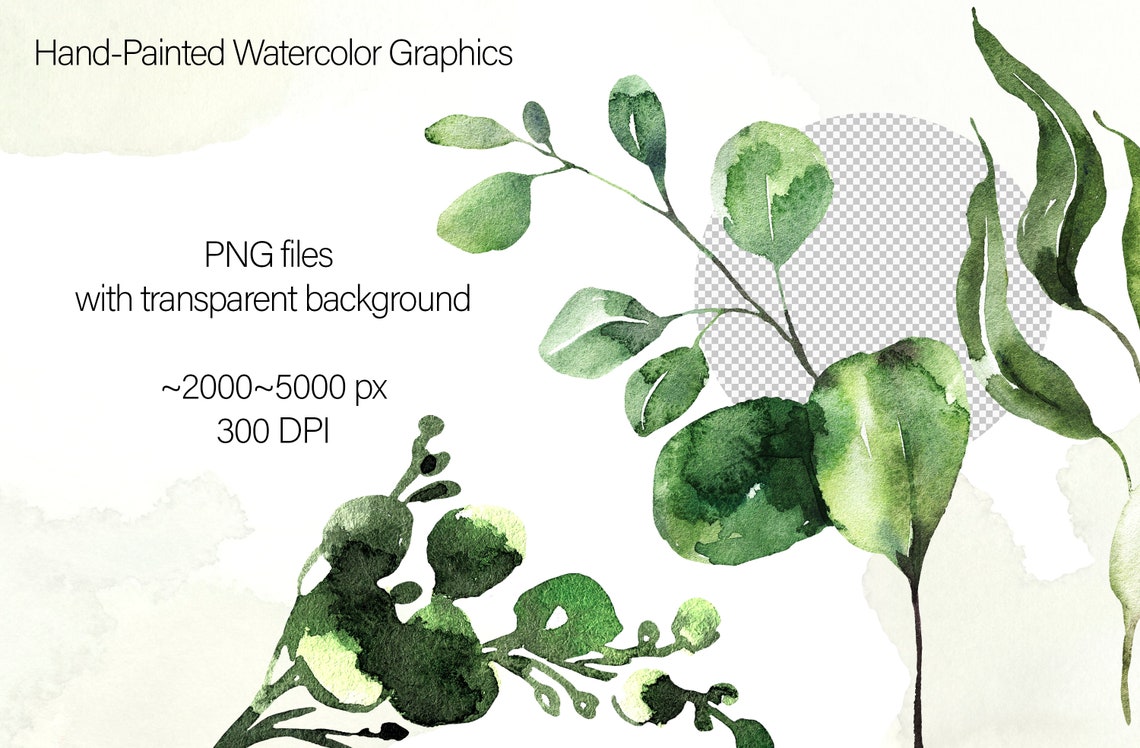 Watercolor Greenery Leaves Clipart SET, Eucalyptus Foliage Clip Art ...