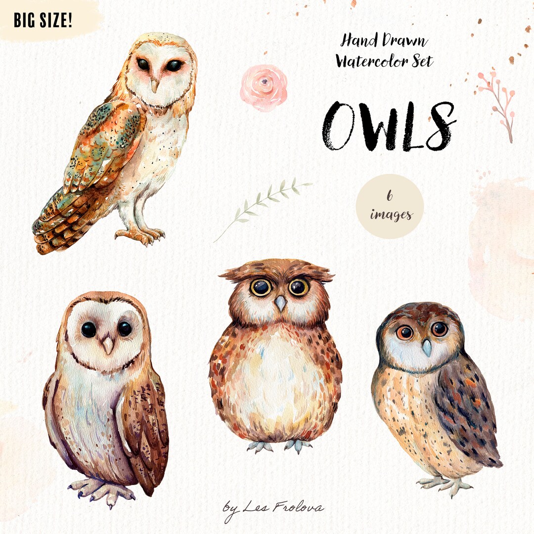 Watercolor Owls Clipart,individual Owl PNG Files, Tribal Graphics ...