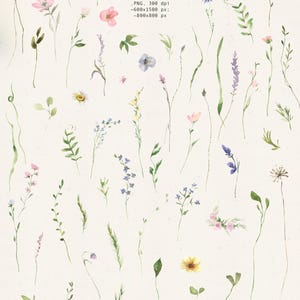 Watercolor Wildflower Clipart Set, Instant PNG Digital Download - Etsy