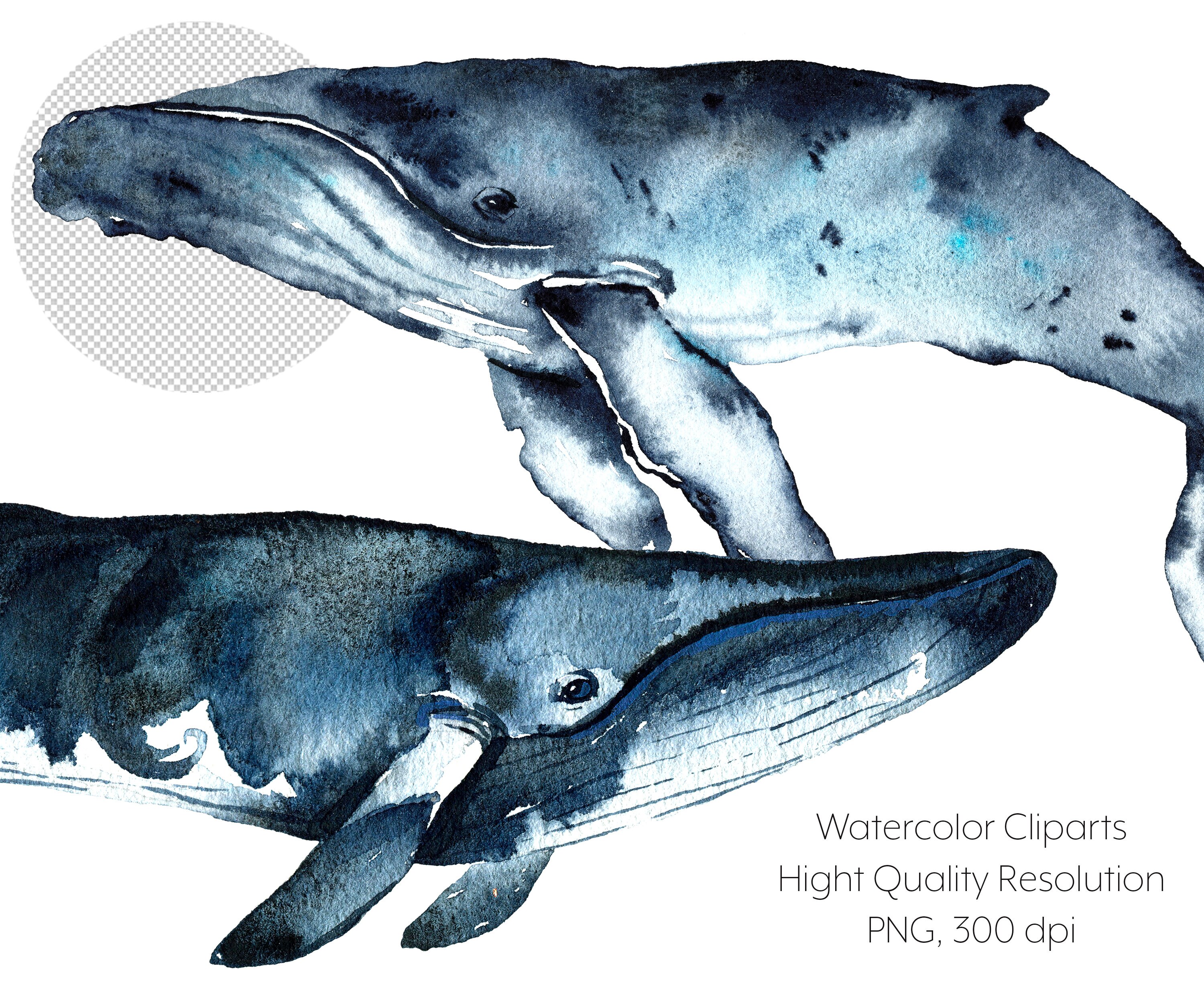 Ocean Animals Watercolor Clipart. Ocean Clipart PNG: Whale, Octopus ...