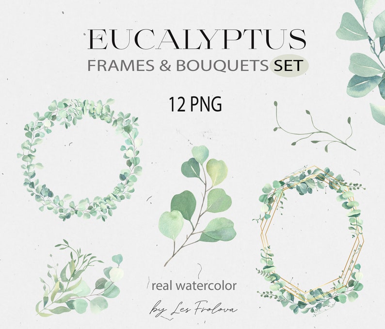 Watercolor Eucalyptus Frame, Bouquet, Wreath. Greenery Leaves Bouquets ...