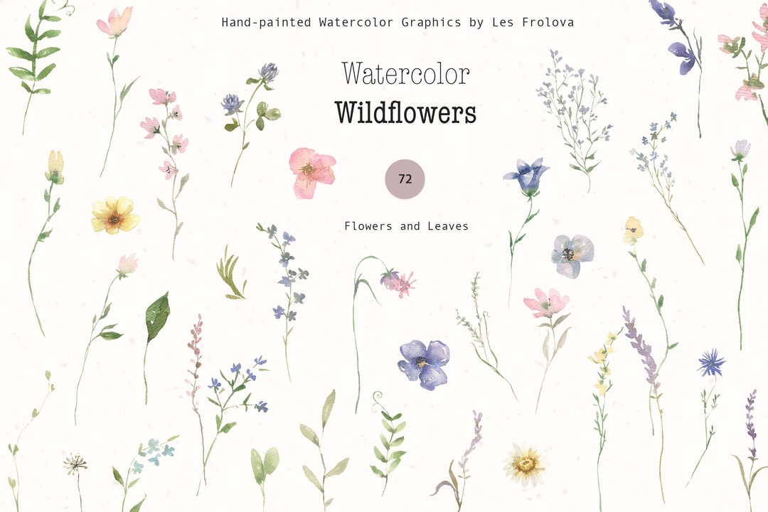 Watercolor Wildflower Clipart Set, Instant PNG Digital Download - Etsy