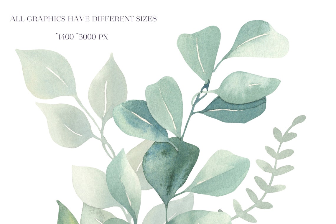 Watercolor Eucalyptus Frames, Greenery Wreath, Leaves Wreath Clipart ...