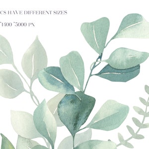 Watercolor Eucalyptus Frames, Greenery Wreath, Leaves Wreath Clipart ...