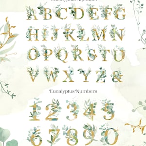 Eucalyptus Alphabet, Numbers Clipart Set, Greenery Letters, Eucalyptus ...