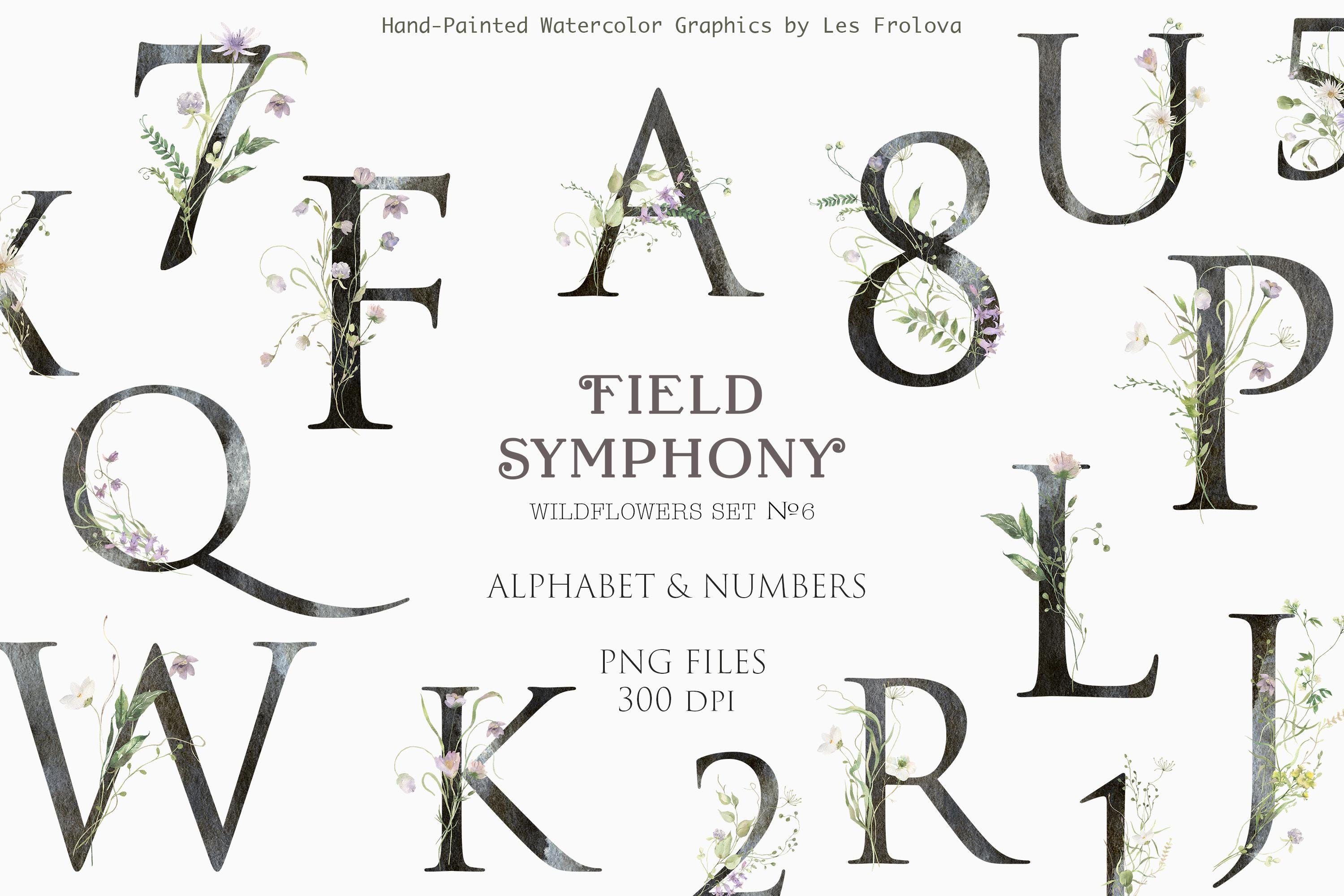 Watercolor Floral Alphabet, Wild Flower Letters, Numbers, Summer ...