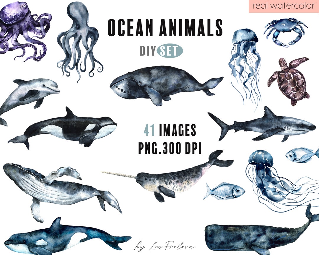 Ocean Animals Watercolor Clipart. Ocean Clipart PNG: Whale, Octopus ...