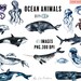 Ocean Animals Watercolor Clipart. Ocean Clipart PNG: Whale, Octopus ...