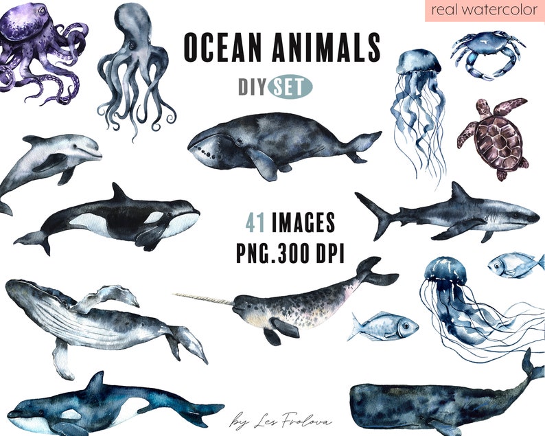 Ocean Animals Watercolor Clipart. Ocean Clipart PNG: Whale, Octopus ...