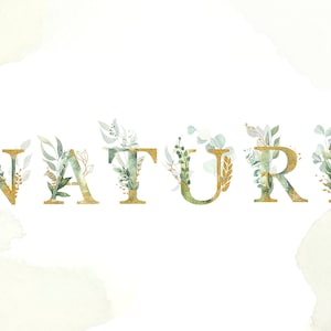 Eucalyptus Alphabet, Numbers Clipart Set, Greenery Letters, Eucalyptus ...