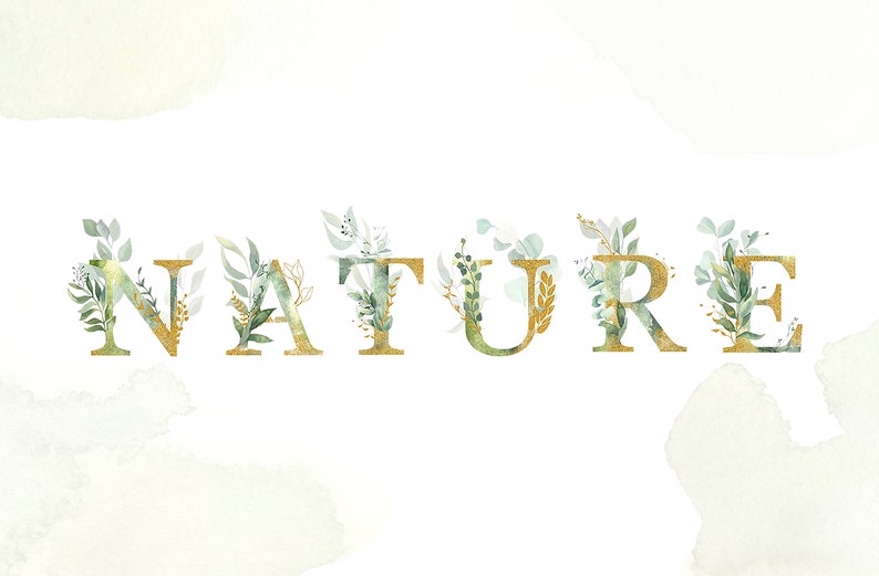 Eucalyptus Alphabet, Numbers Clipart Set, Greenery Letters, Eucalyptus ...