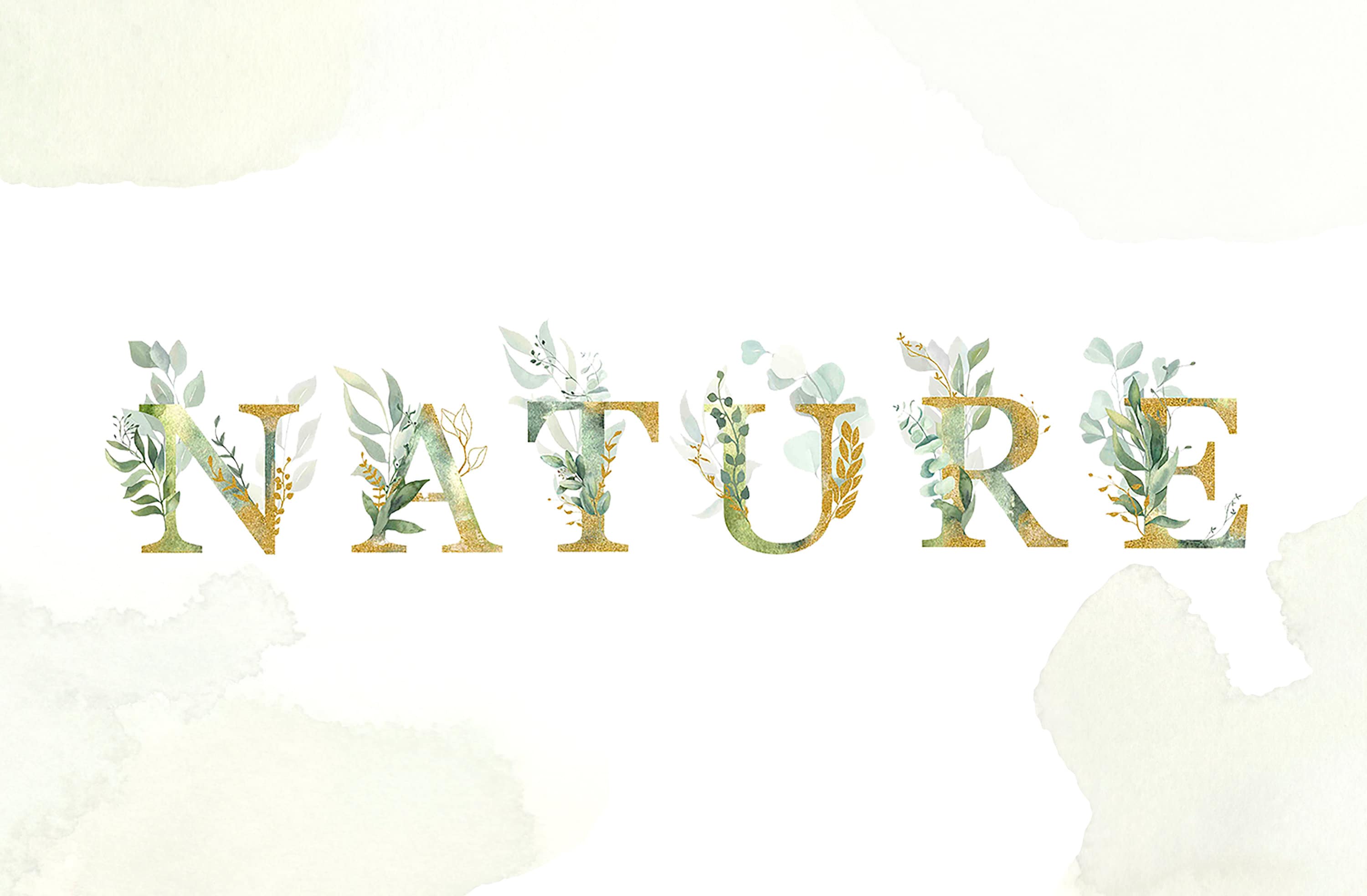 Eucalyptus Alphabet, Numbers Clipart Set, Greenery Letters, Eucalyptus ...