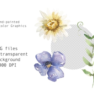 Watercolor Wildflower Clipart Set, Instant PNG Digital Download - Etsy