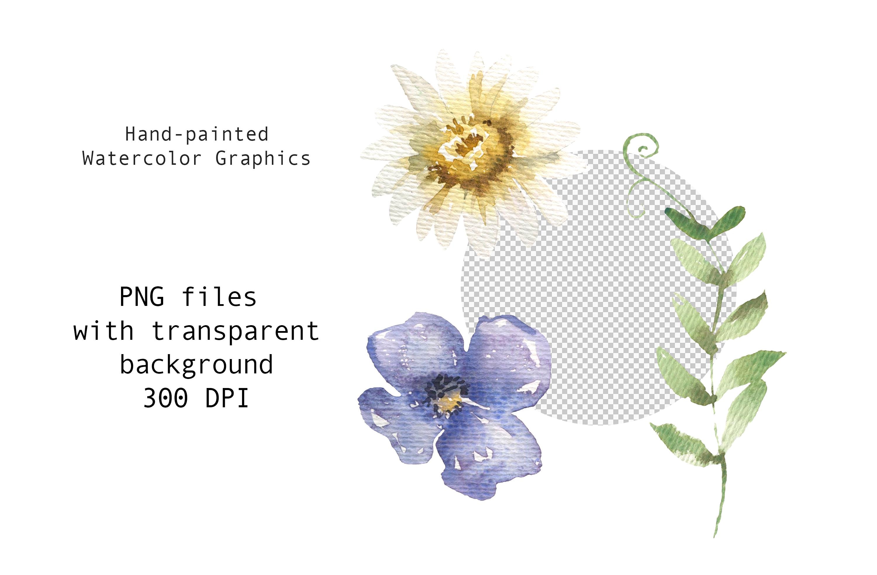Watercolor Wildflower Clipart Set, Instant PNG Digital Download - Etsy