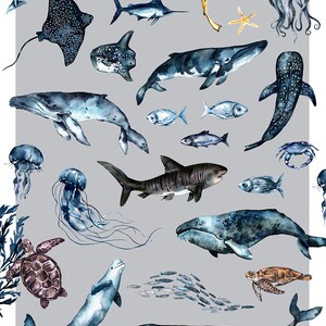 BIG Watercolor Ocean Collection, Watercolor Animals, Whale, Sea Animals ...