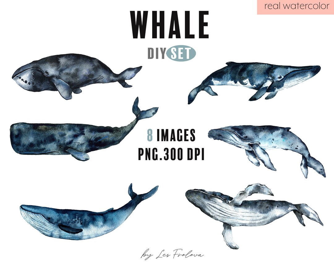 Watercolor Ocean Blue Whale Animals Clipart Png Digital Download - Etsy