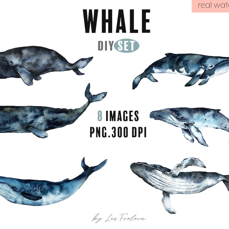 Blue Whale Clipart - Etsy