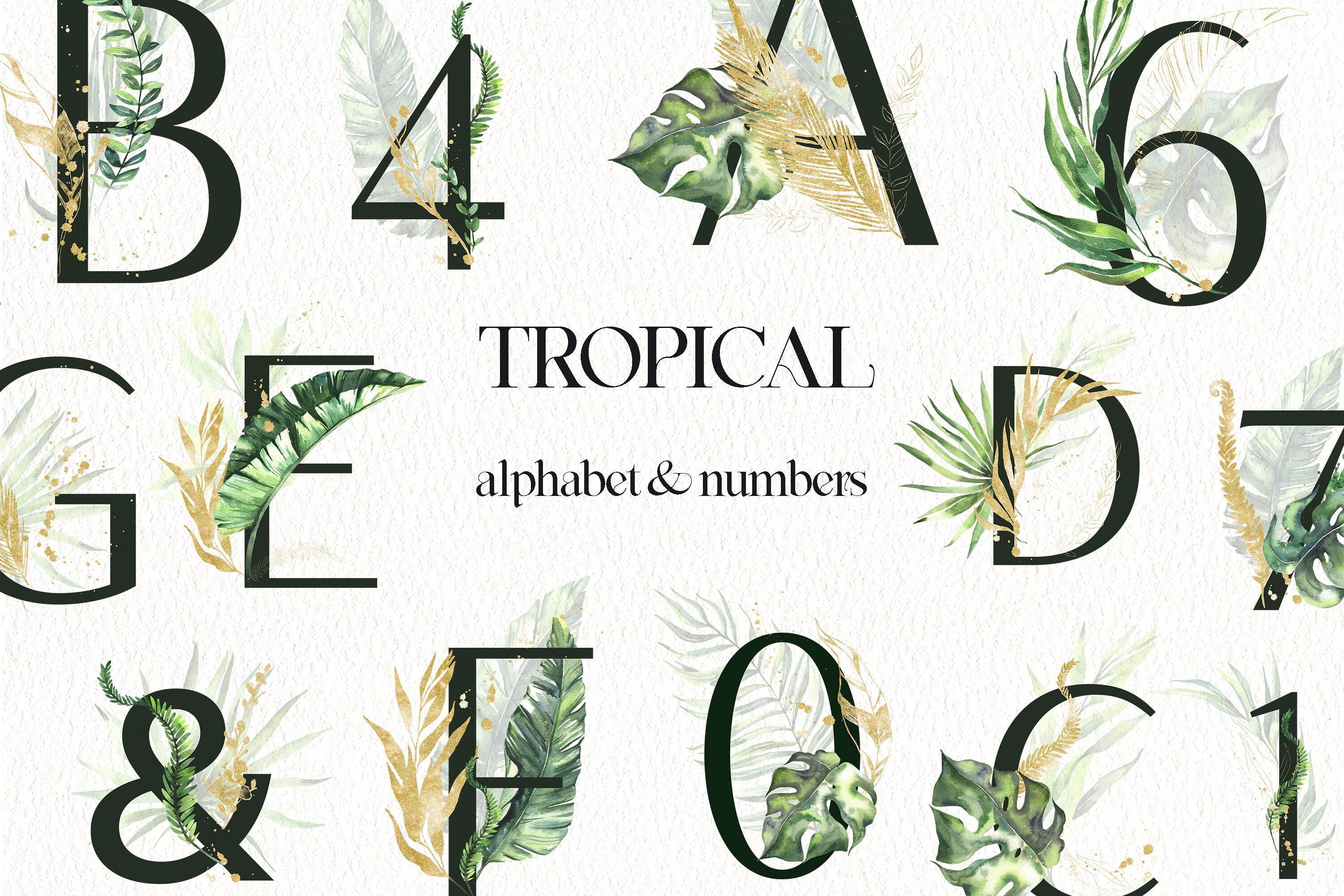 Tropical Leaves Alphabet Collection, Watercolor Floral Tropics Alphabet ...