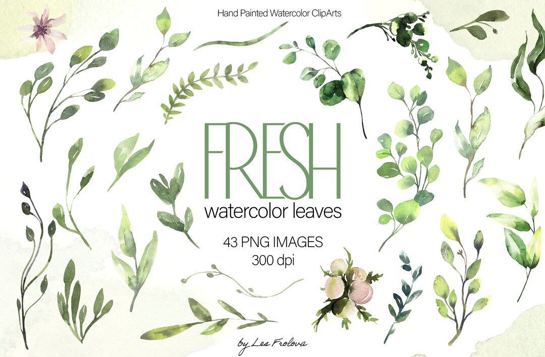Watercolor Greenery Leaves Clipart SET, Eucalyptus Foliage Clip Art ...