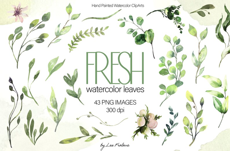 Watercolor Greenery Leaves Clipart SET Eucalyptus Foliage - Etsy