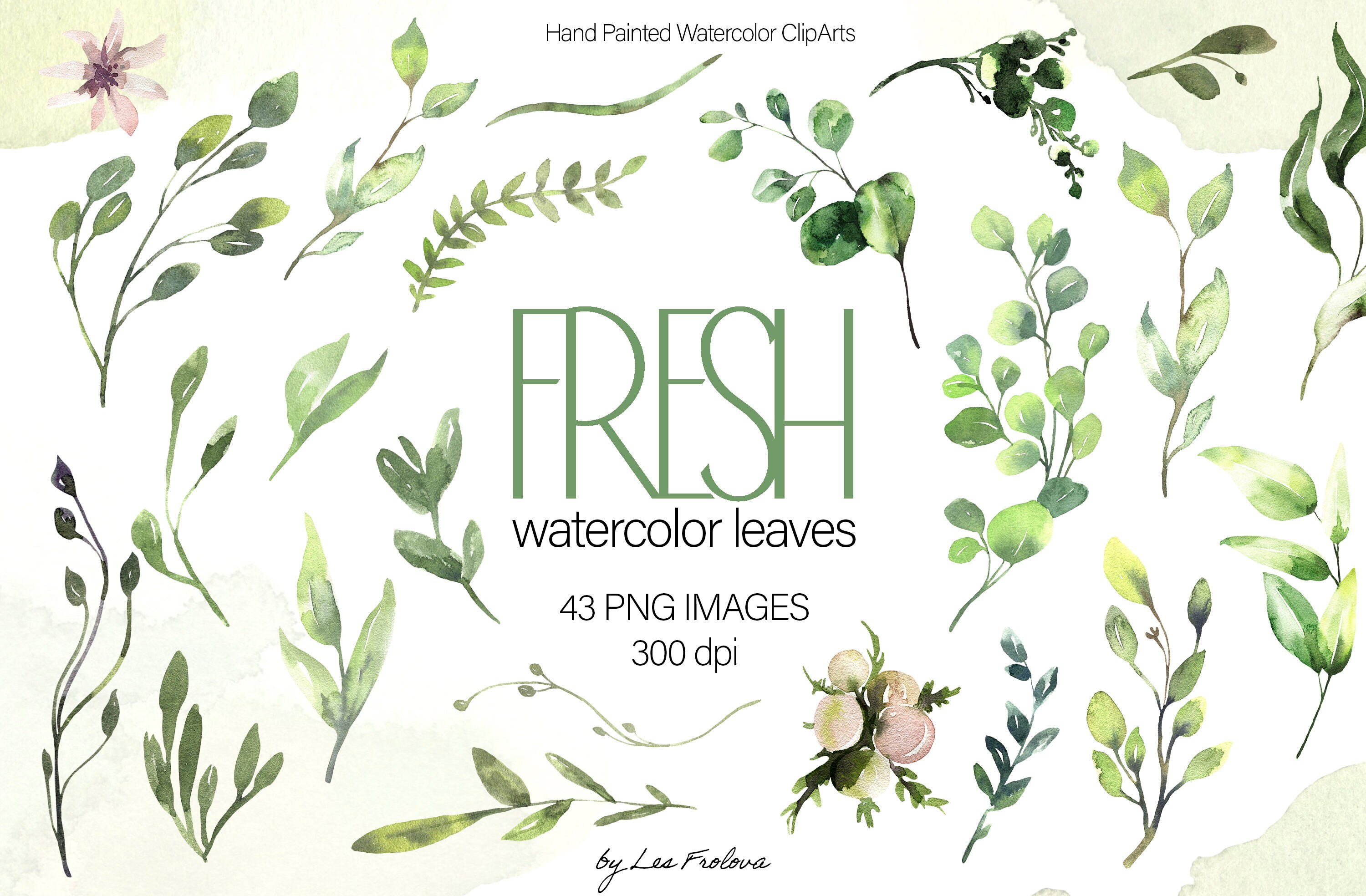 Watercolor Greenery Leaves Clipart SET Eucalyptus Foliage - Etsy