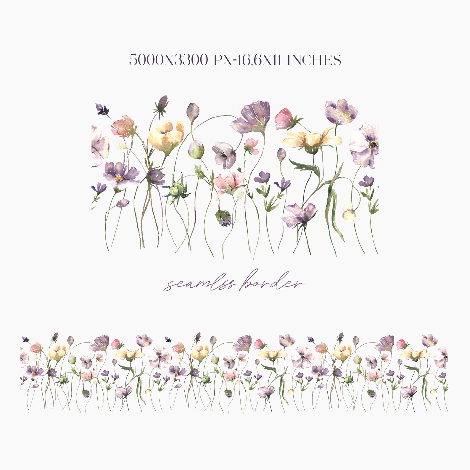 Floral Seamless Border Clipart PNG, Floral Frame Image, Wild Flowers ...