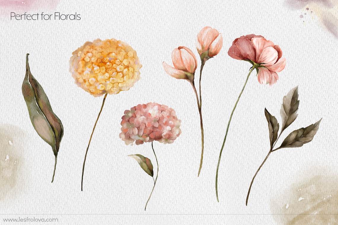 Watercolor Realistic Procreate Brushes Kit - Etsy