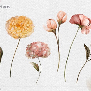 Watercolor Realistic Procreate Brushes Kit - Etsy