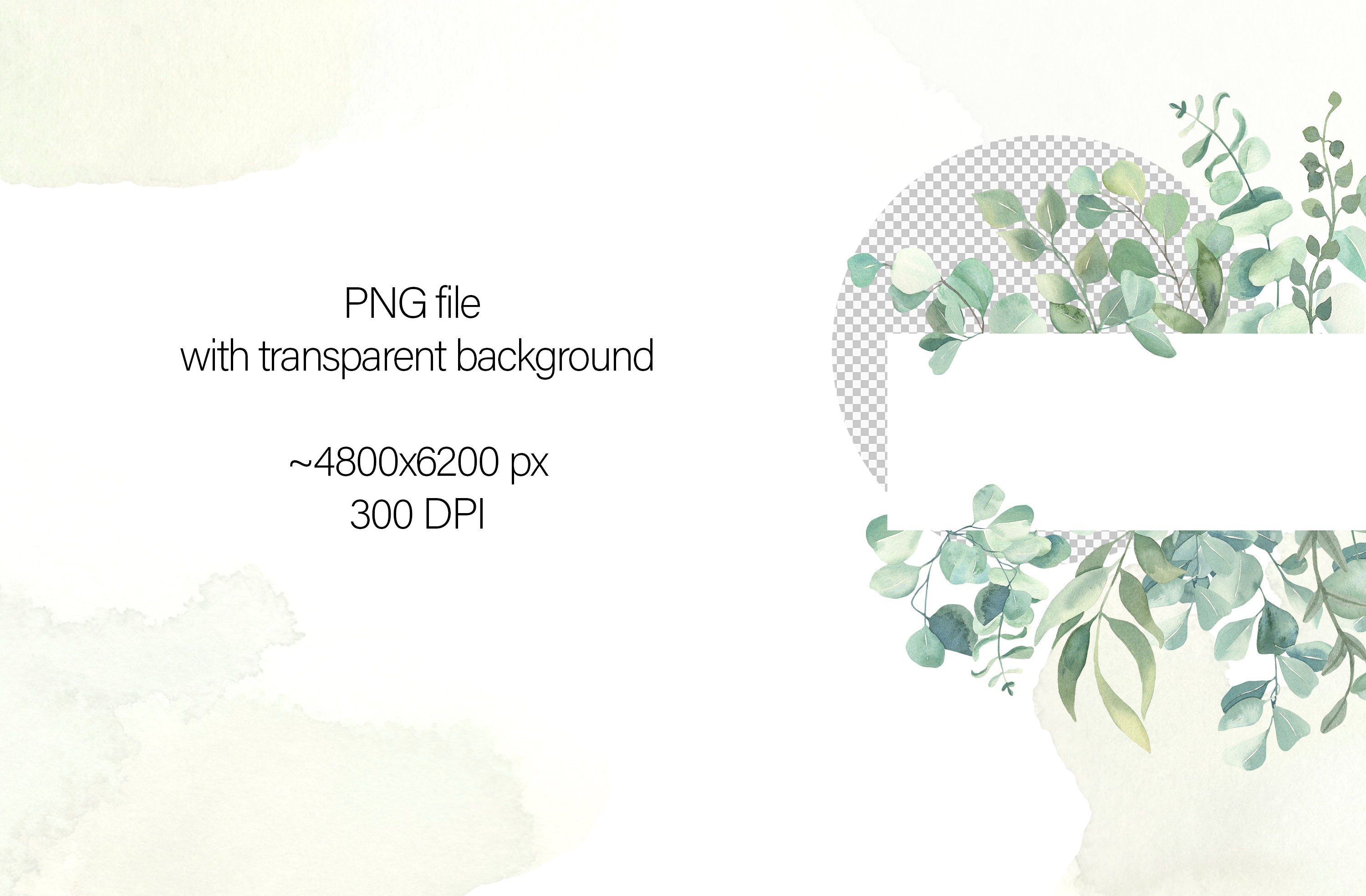 Watercolor Eucalyptus Frame Clipart, Greenery Frame, Digital Greenery ...