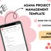 Asana Marketing Project Management Template (digital Download) - Etsy