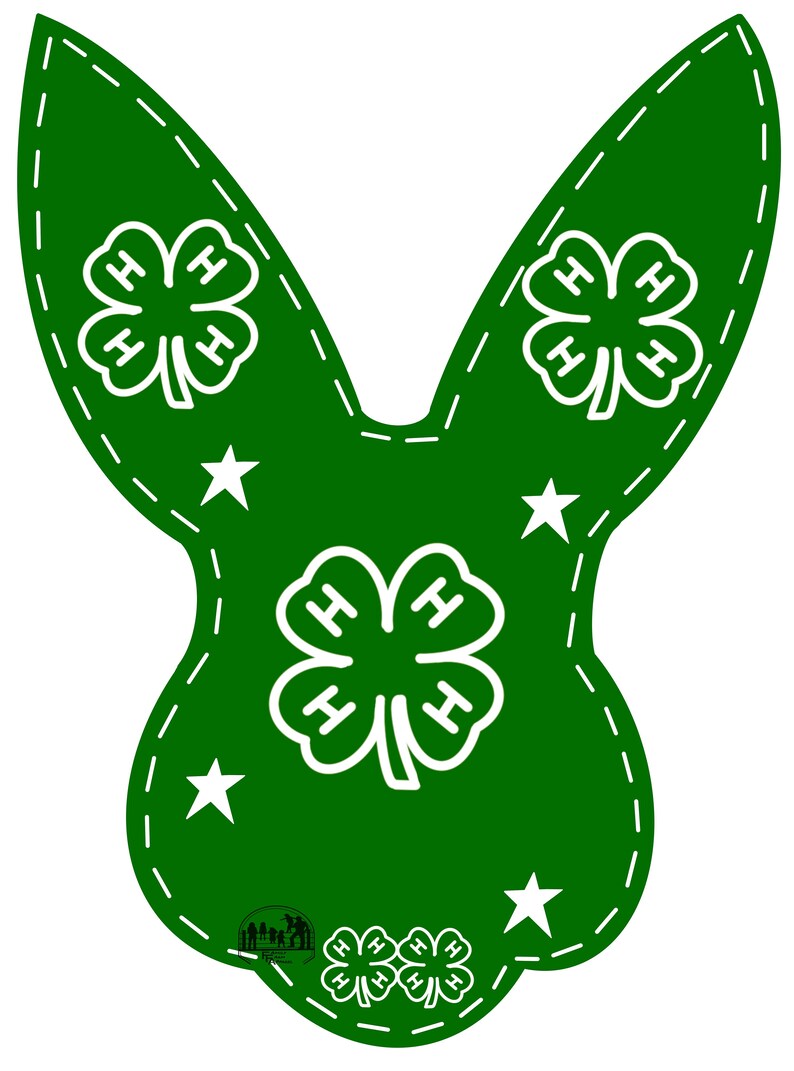 4H Bunny/rabbit Shirt - Etsy