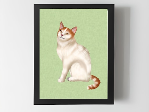 Cute Turkish Van Kittens