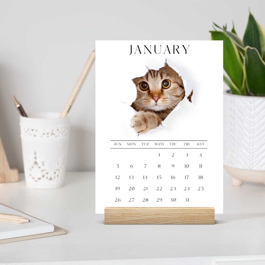 2025 Cat Desk Calendar With Wooden Stand, Fun Cat Calendar, Replacement ...