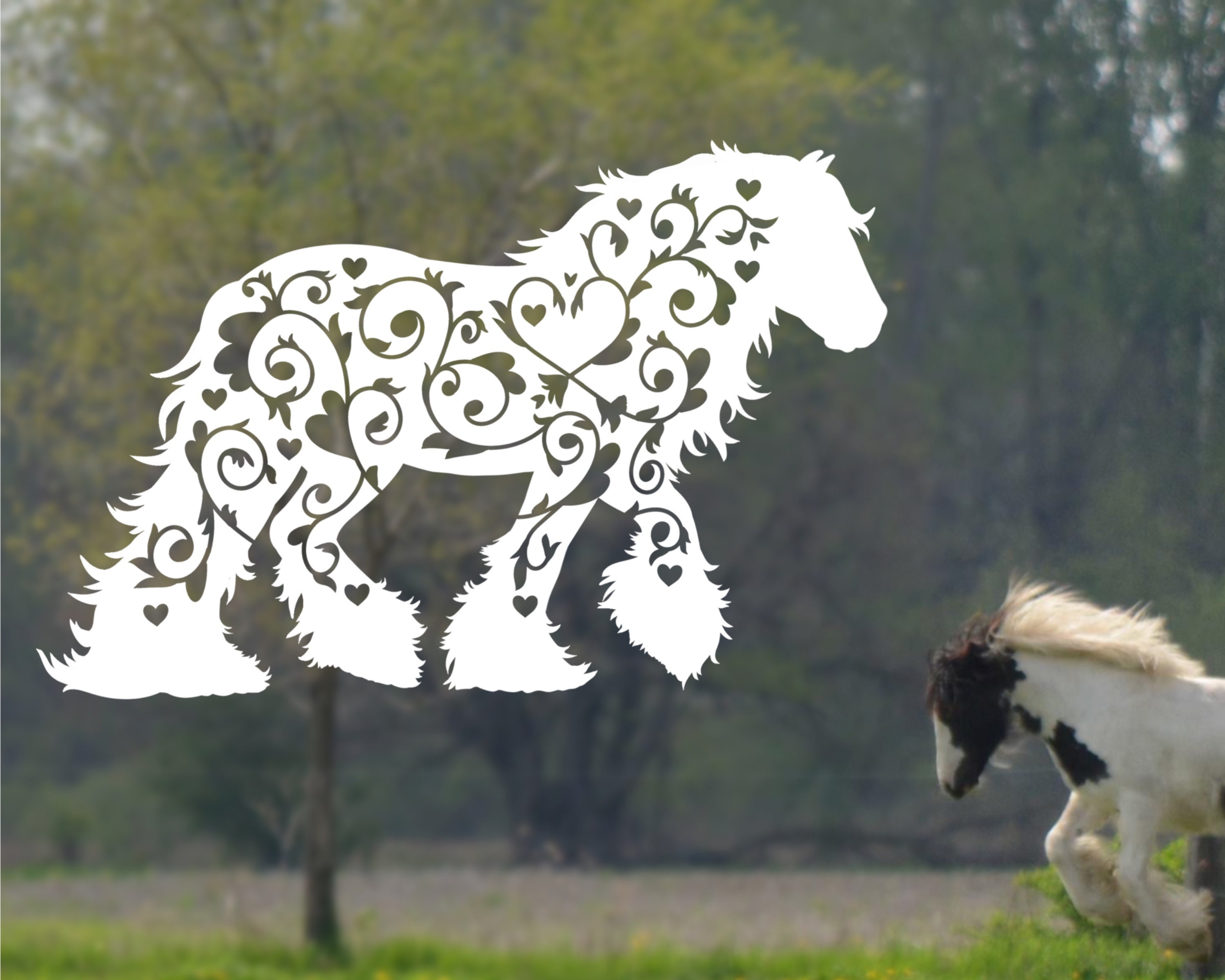 Gypsy Vanner Decal Sticker Draft Horse Vinyl Car Decal, Horse Trailer ...