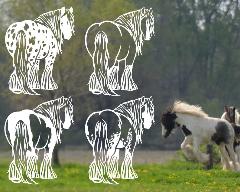 Original Gypsy Vanner Draft Horse Vinyl Car Decal Horse Trailer Sticker ...
