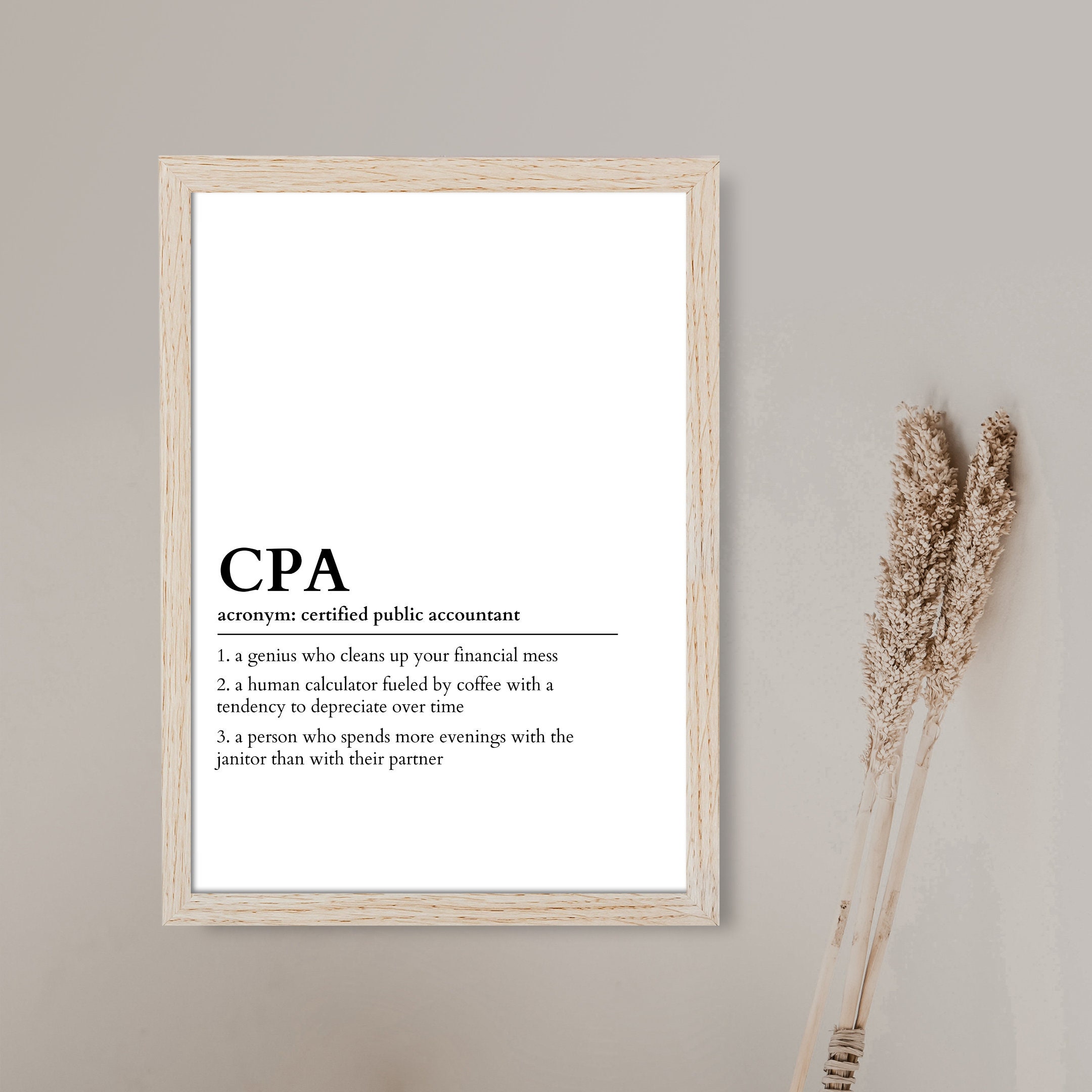 Funny Accountant Definition Wall Art | Funny Accountant Poster ...