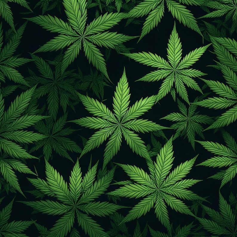 Marijuana Leaf Template Png, Weed Png, Weed Leaf PNG, Sublimation Png, PNG for Cricut Png Shirt ...