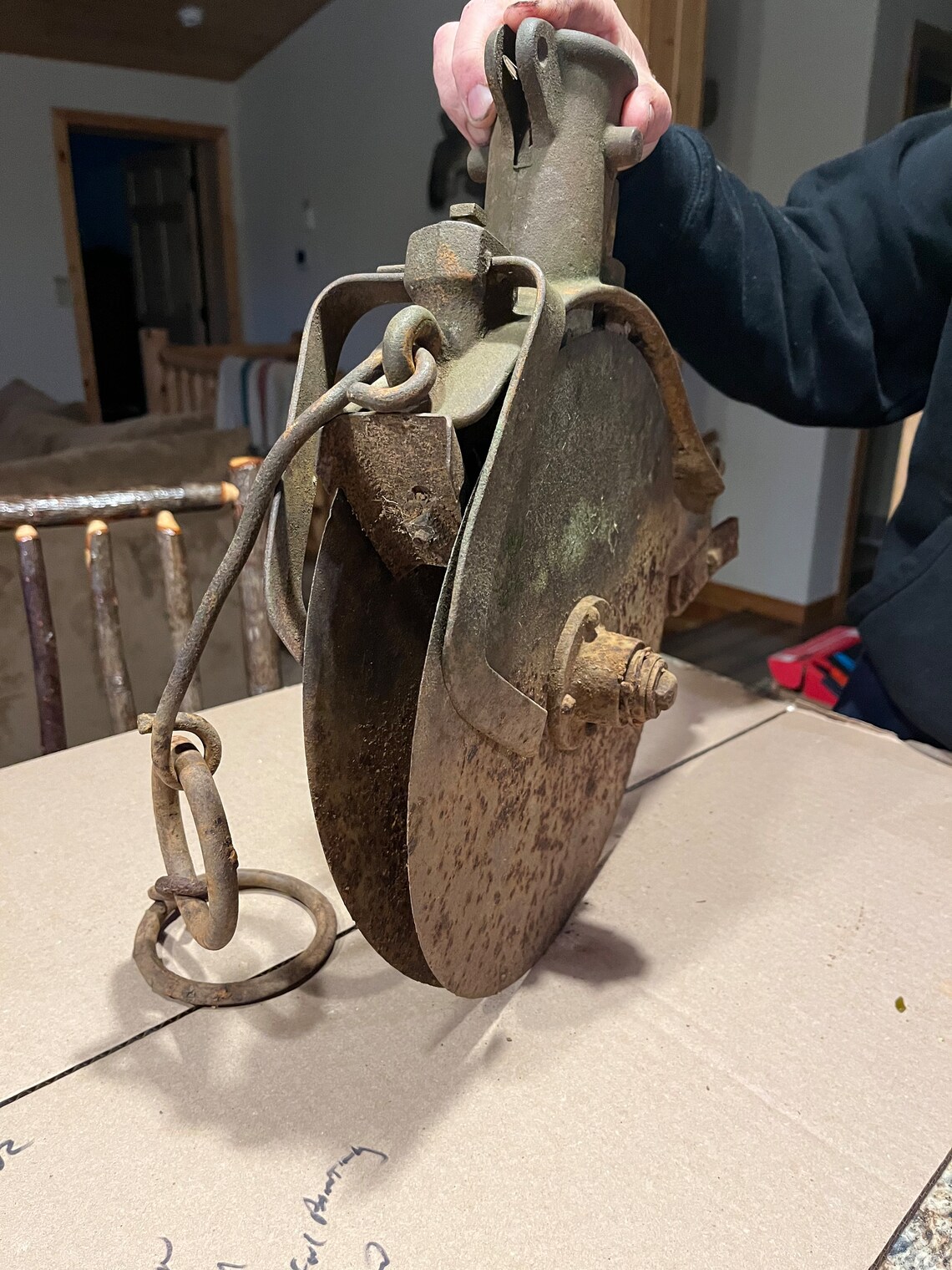 Vintage Tiger Seeder Planting Discs - Etsy