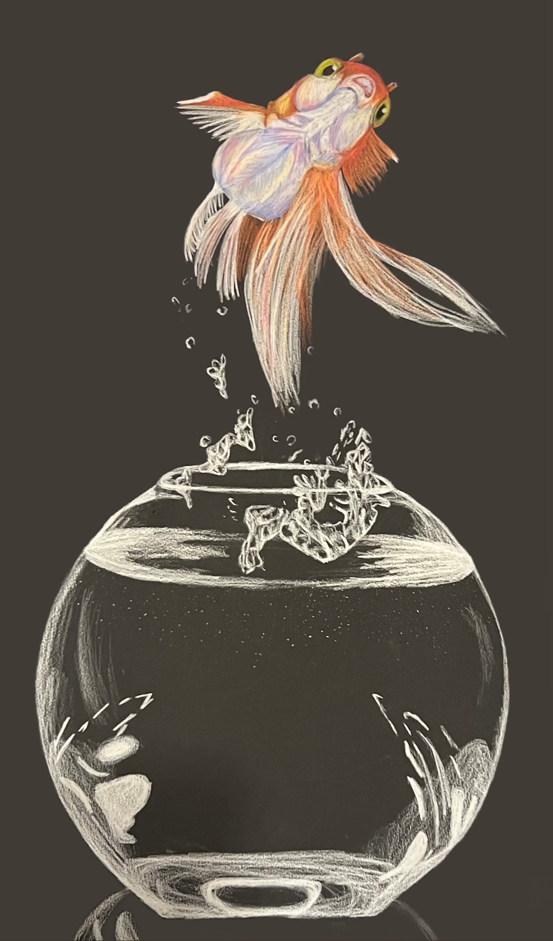 Free Willy Goldfish Drawing - Etsy
