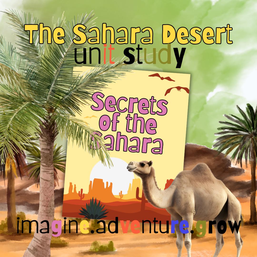 Secrets of the Sahara Desert | Homeschool Study Unit | Science Digital ...