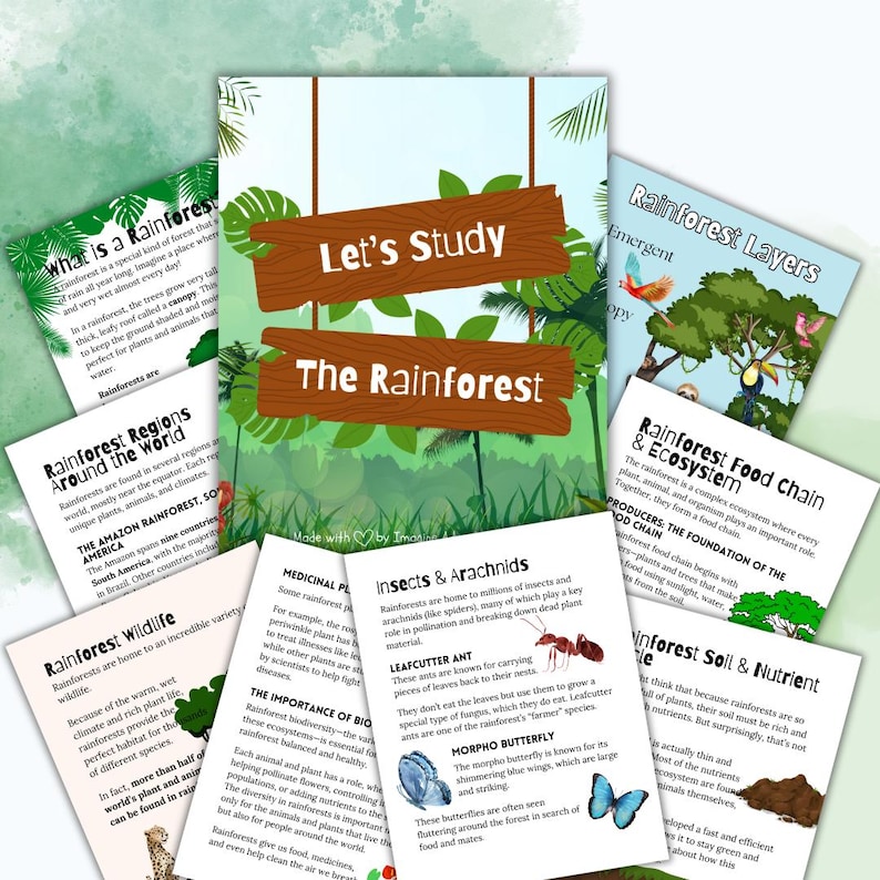 Rainforest Homeschool Study Unit | Digital Download Curriculum - Etsy