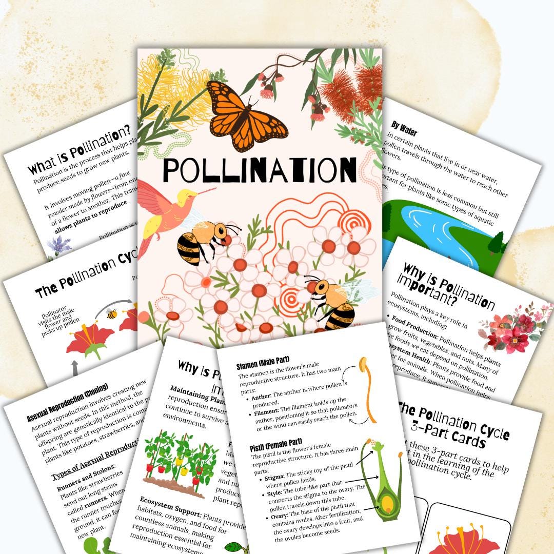 Pollination Science Homeschool Study Unit | Elementary Digital Download ...