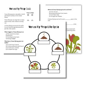 Mini Venus Fly Trap Plant Homeschool Study Unit | Digital Download ...