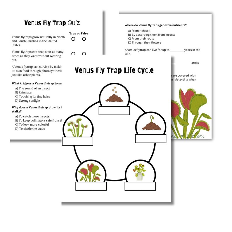 Mini Venus Fly Trap Plant Homeschool Study Unit | Digital Download ...