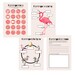 Flamingo Homeschool Study Unit | Digital Download Curriculum - Etsy