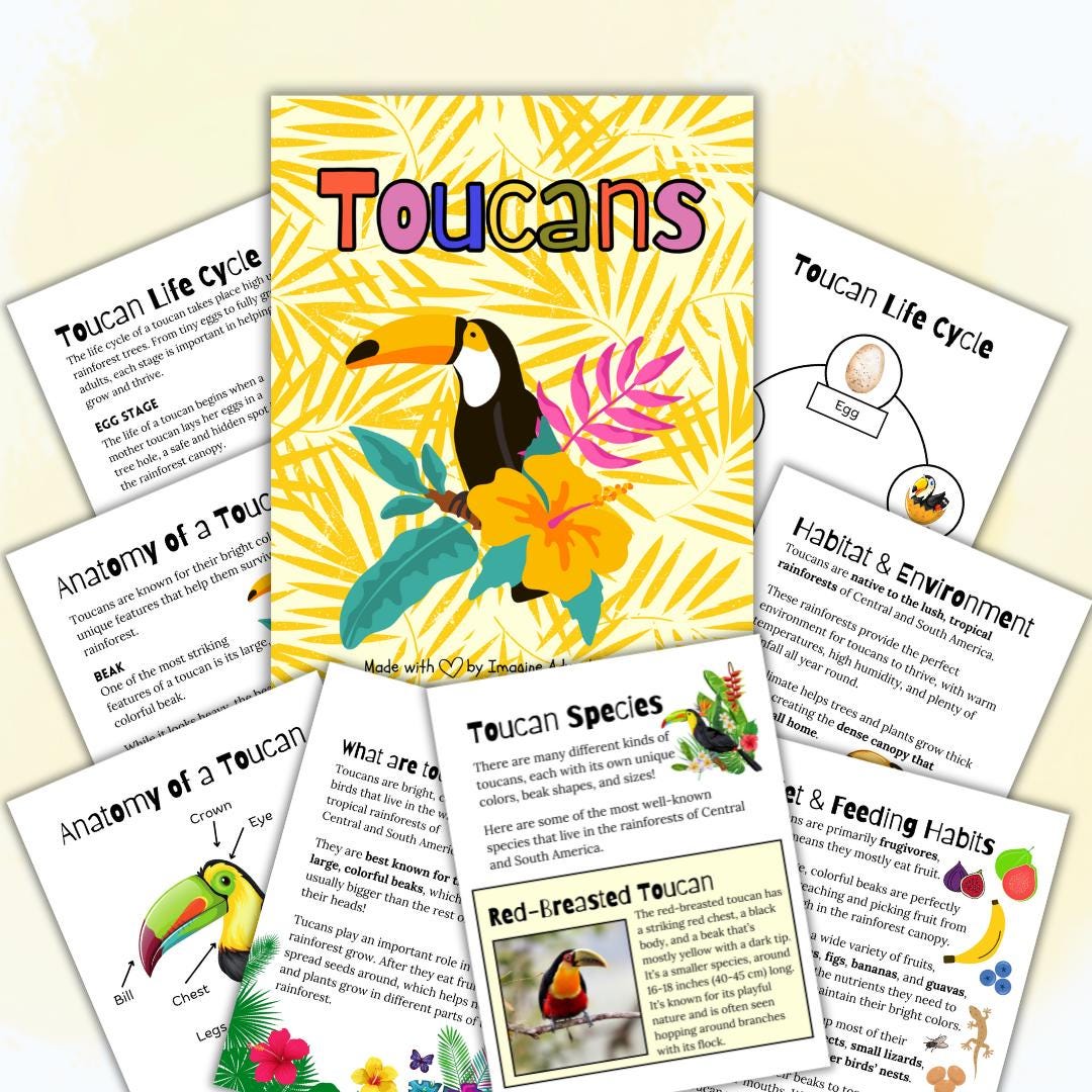 Toucans Homeschool Mini Study Unit | Digital Download Curriculum - Etsy