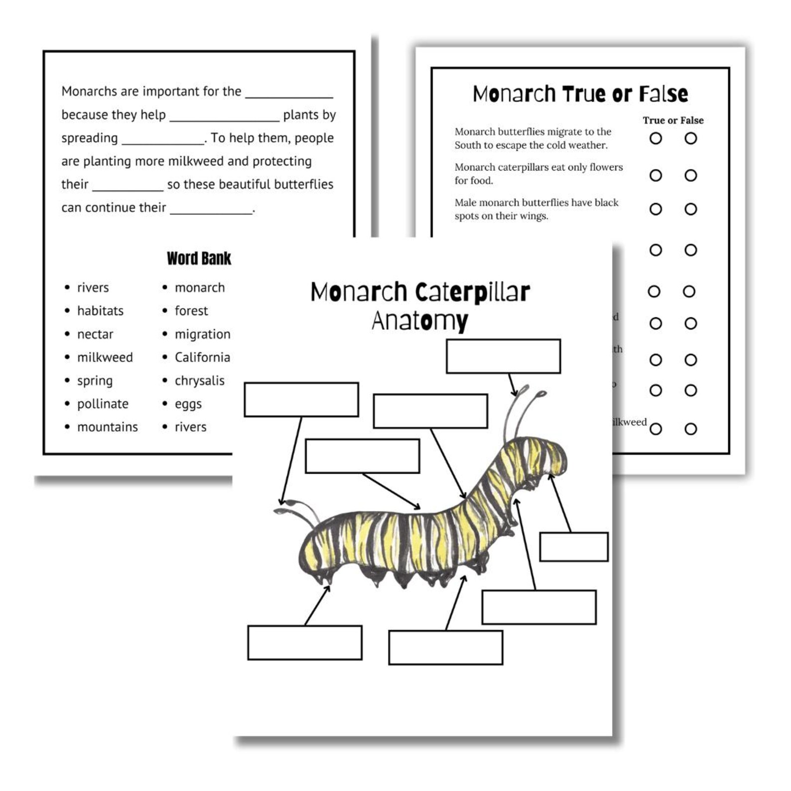 Monarch Butterflies Homeschool Mini Study Unit | Digital Download ...