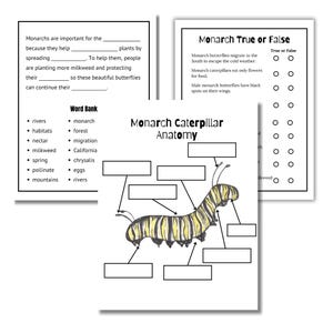 Monarch Butterflies Homeschool Mini Study Unit | Digital Download ...