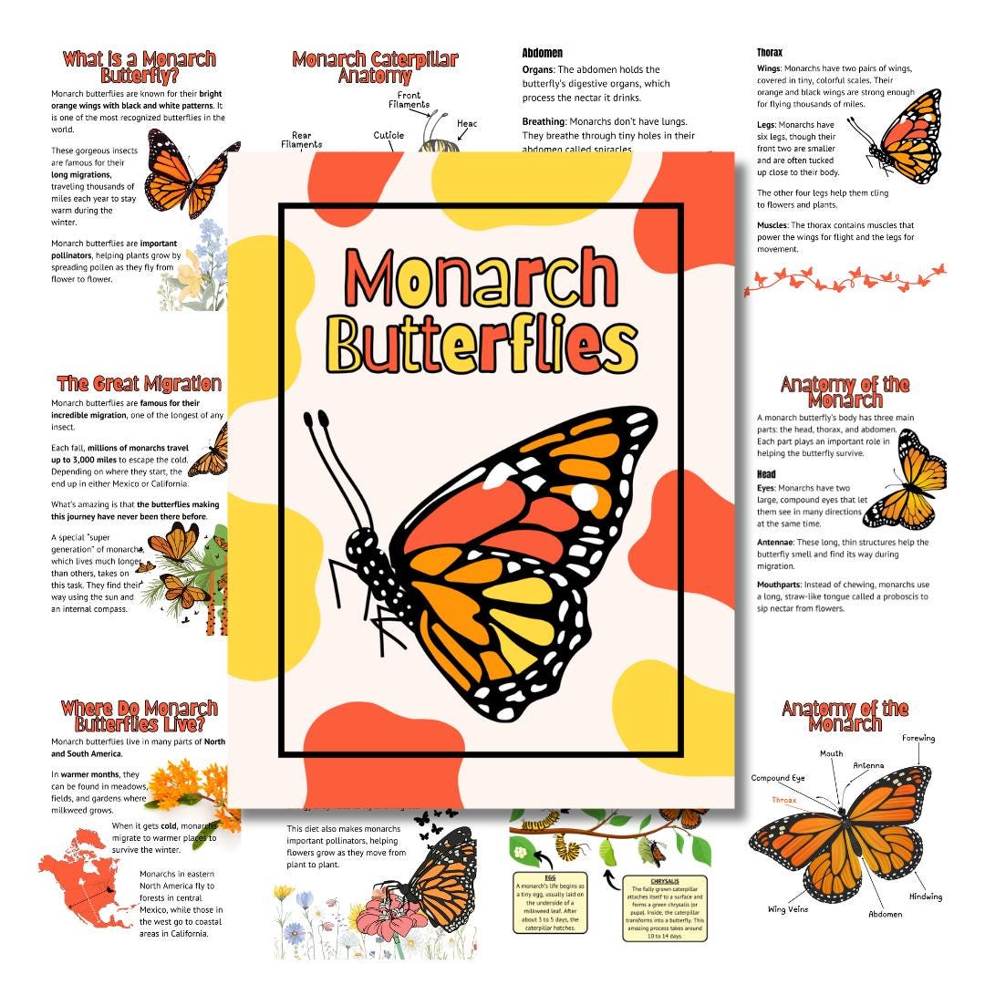 Monarch Butterflies Homeschool Mini Study Unit | Digital Download ...