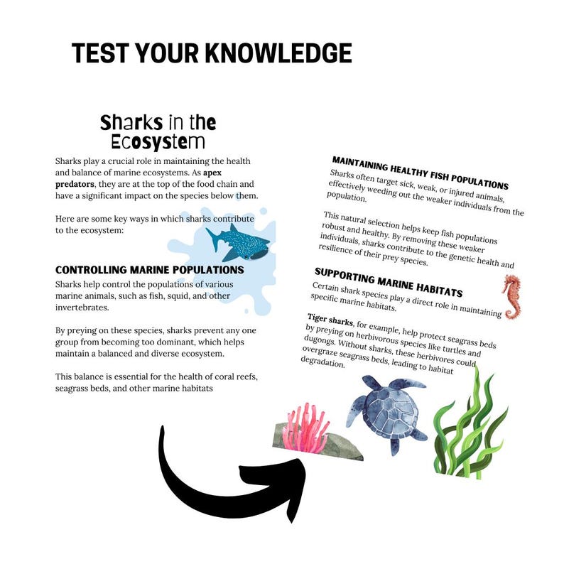 Shark Homeschool Study Unit | Digital Download Curriculum - Etsy